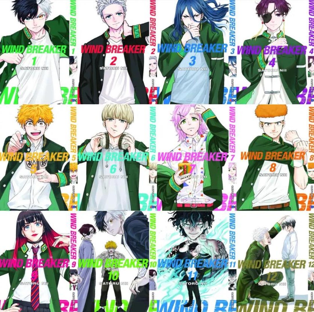 Wind Breaker Manga Volume 1-17 Full Set English Comic Books New Set ...