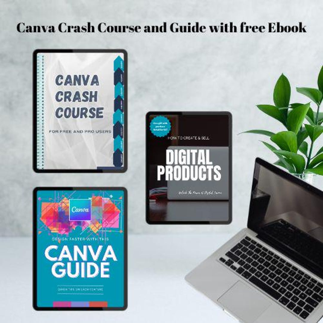 Canva Guide, Canva Crash Course With a Free Digital Product Ebook - Etsy