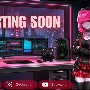 Custom Stream Overlay / Custom Twitch Stream Screen / Starting Soon ...