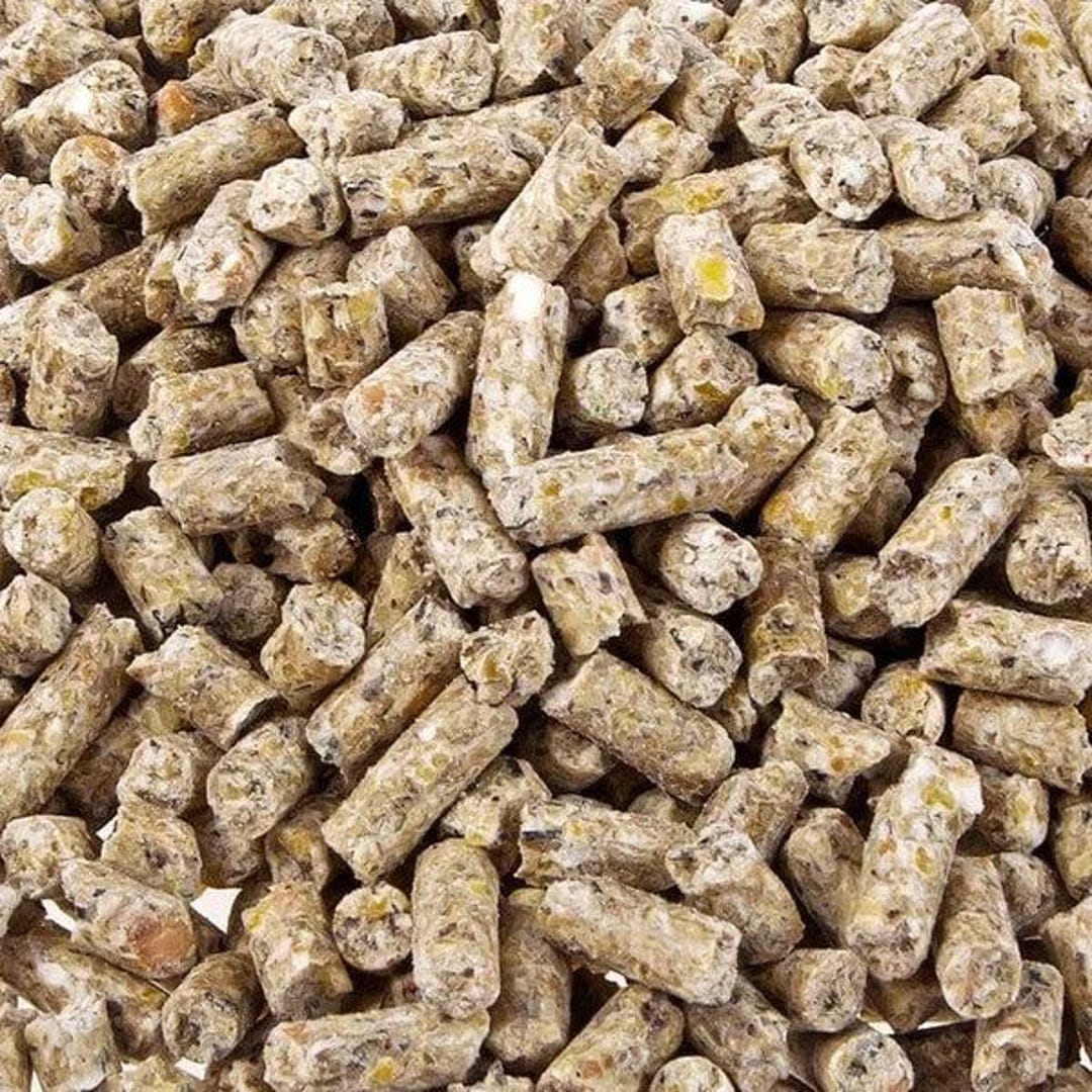 Shrimp Food - Snowflake Pellets for Invertebrates, Caridina ...