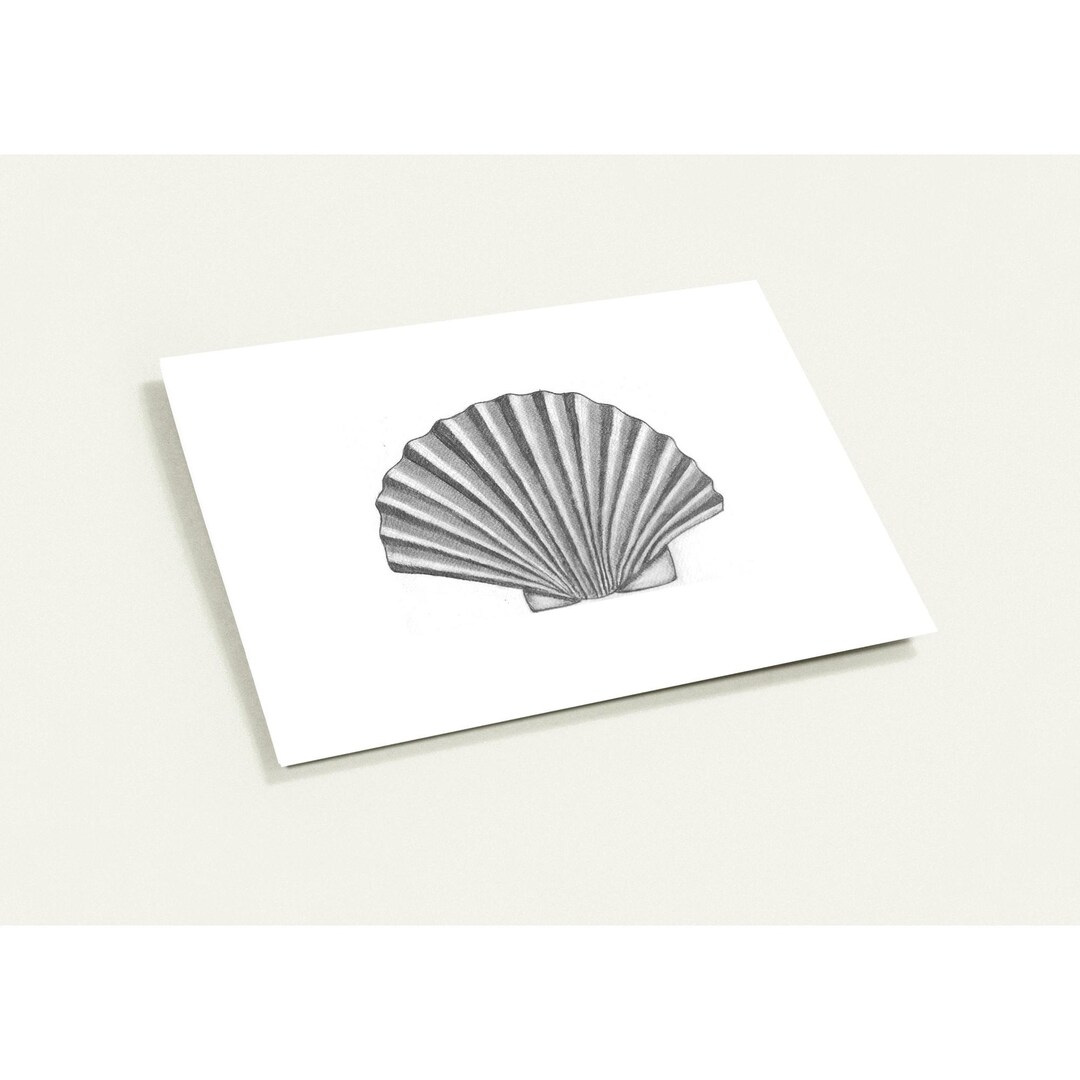 Hand-drawn Shell Blank Note Cards – Premium Eco-friendly Paper, Pack of ...