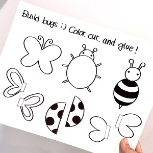 Build a Bug Craft Printable | Coloring Activity Sheet for Butterfly ...
