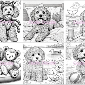 20 Adorable Cavoodle Colouring Pages. Oodles of Oodle Dog Colouring ...