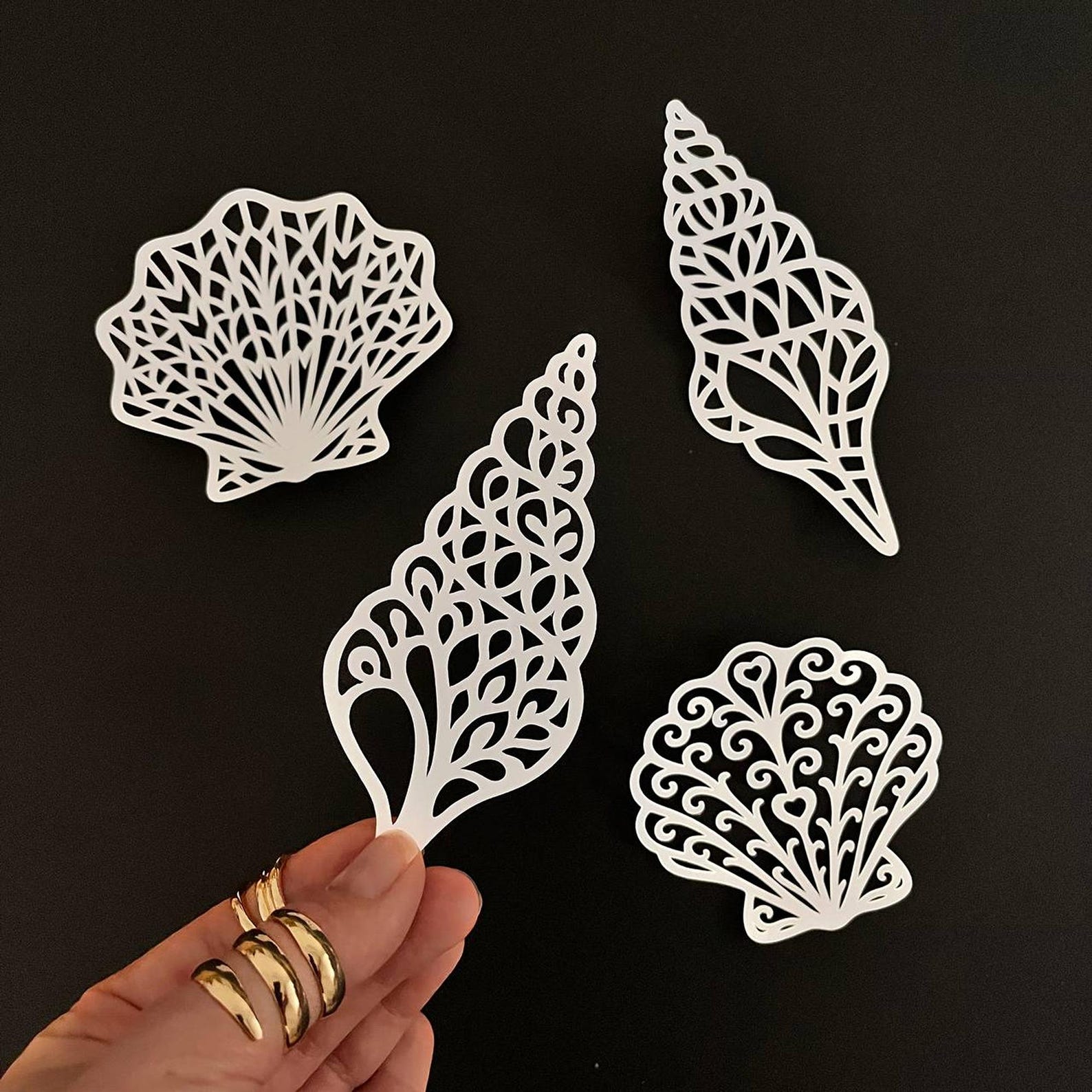 Shell SVG Bundle - Sea Clipart for Cricut & Silhouette, DXF Files, PDF ...