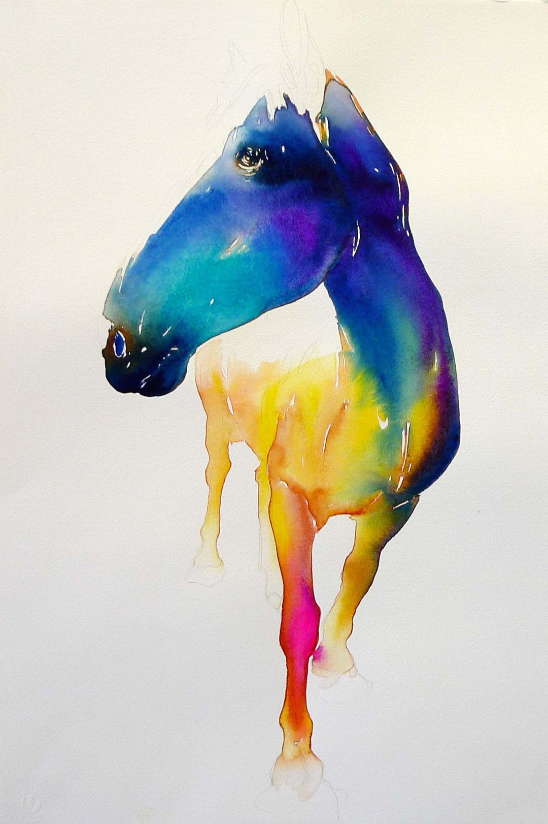 RAINBOW HORSE 20 X 16 Print in Water Colorful Watercolor Print of Horse ...