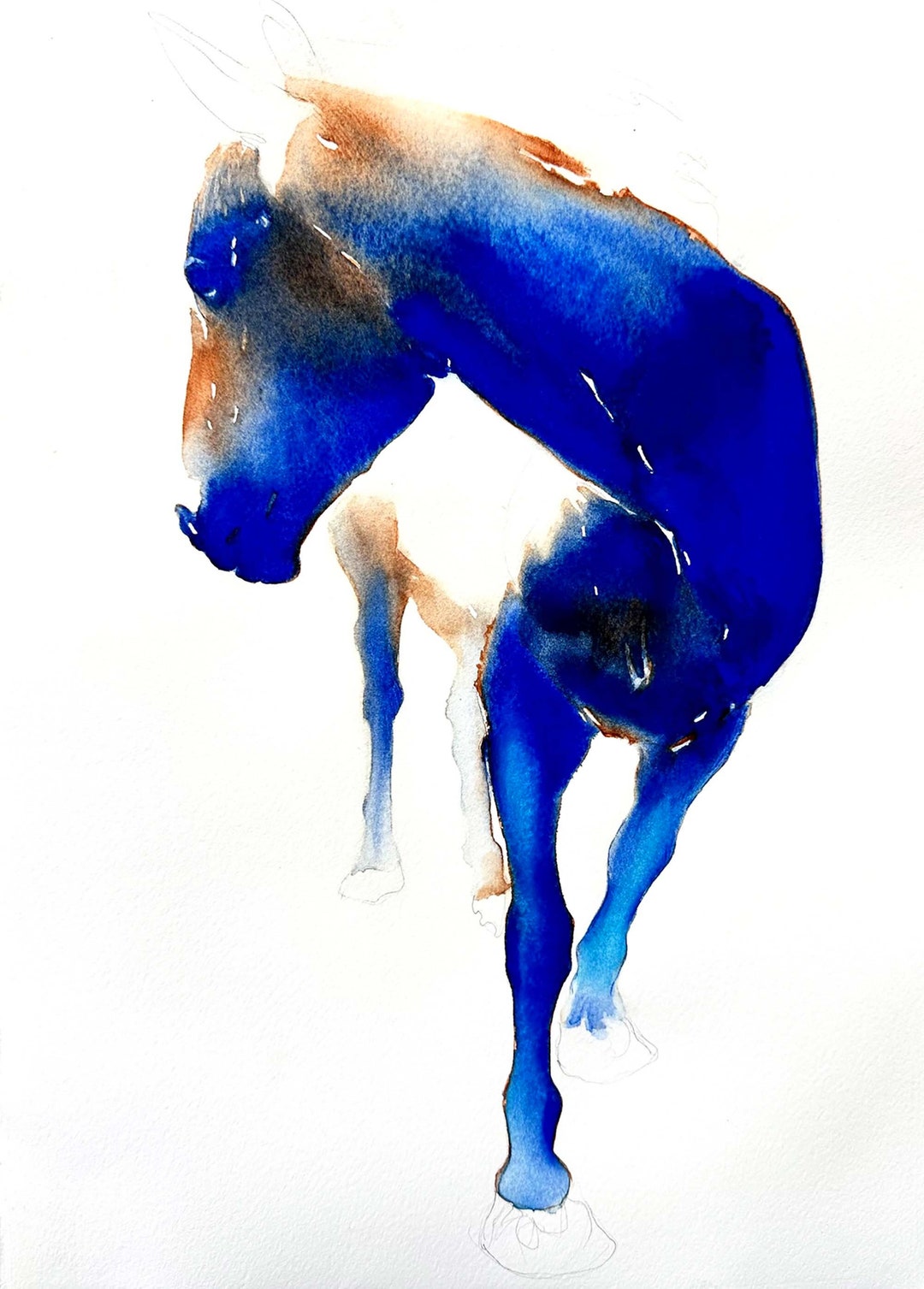 REACH HORSE Archival Print of Beautiful Blue Horse in Poetic Iconic ...