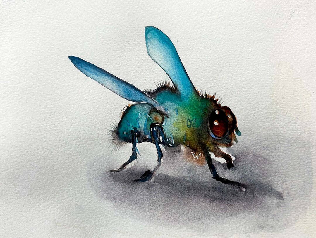 Blue Fly Watercolor Painting, 5x7 Insect Art - Etsy