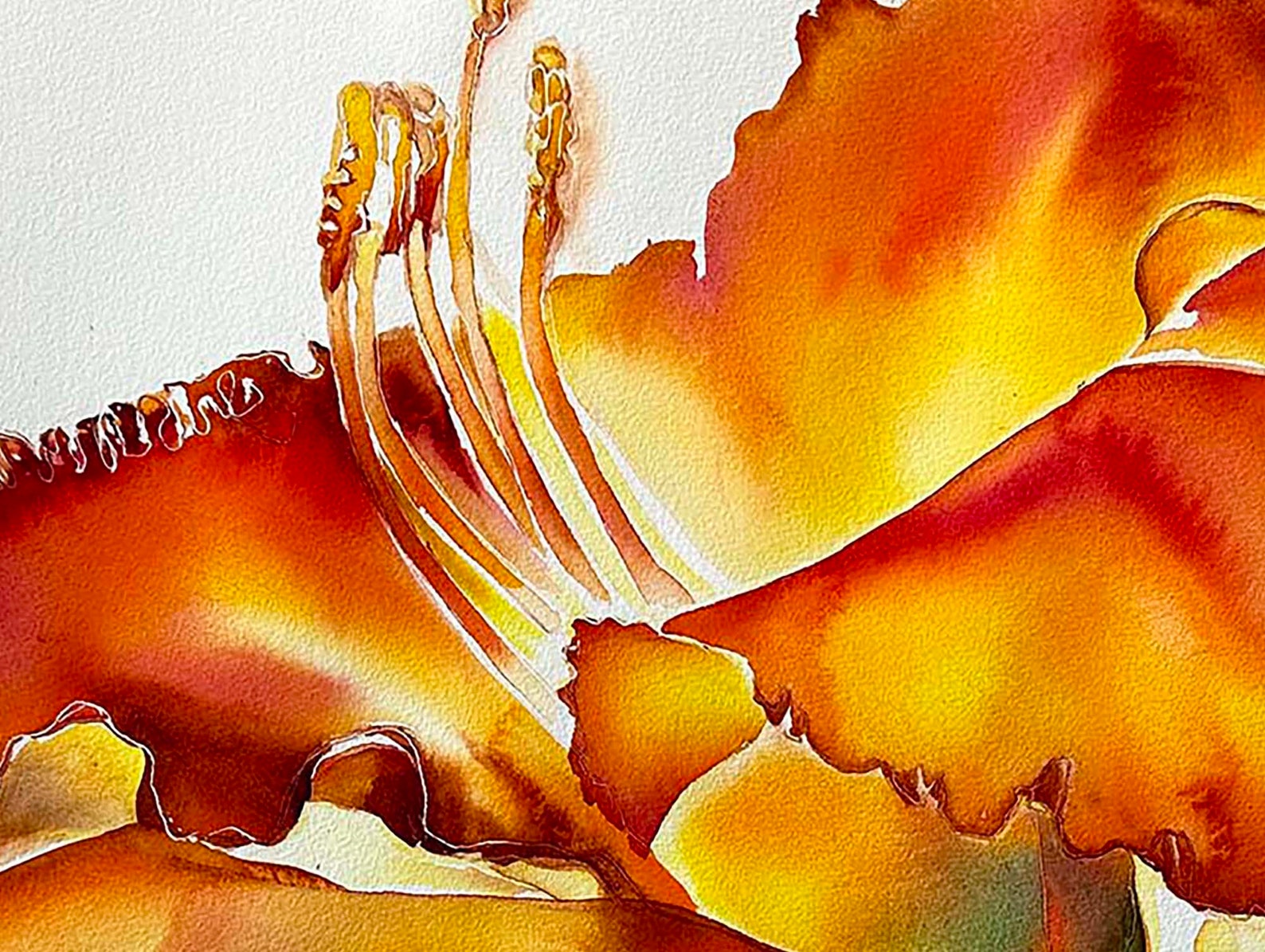 MAUI LILY Watercolor of Red Lily in Close up Dramatic Color and Design ...