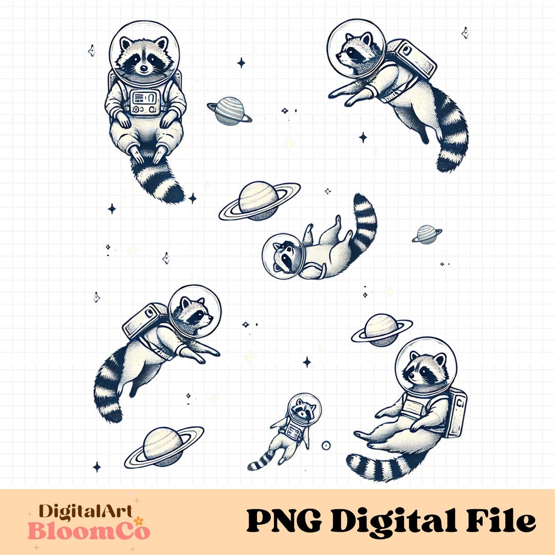 Funny Raccoons in Space Png, Funny Raccoon Png, Vintage Trendy Png ...