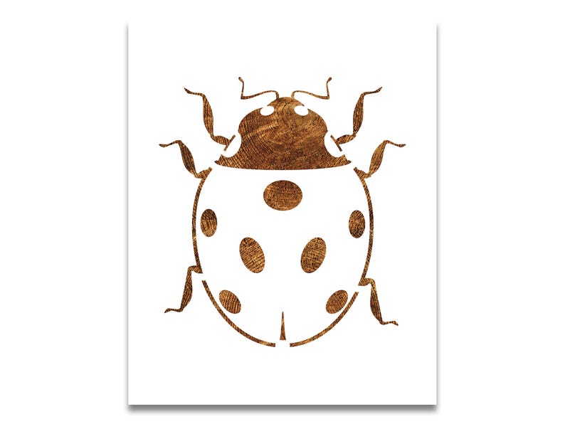 Ladybug Stencil - Reusable Color, Draw, Paint Custom Stencil Art - Etsy