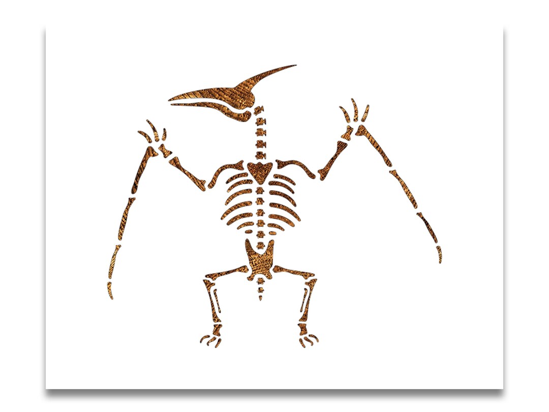 Pterodactyl Skeleton Stencil - Dinosaur Stencil - Reusable Color, Draw, Paint Custom Stencil Art ...