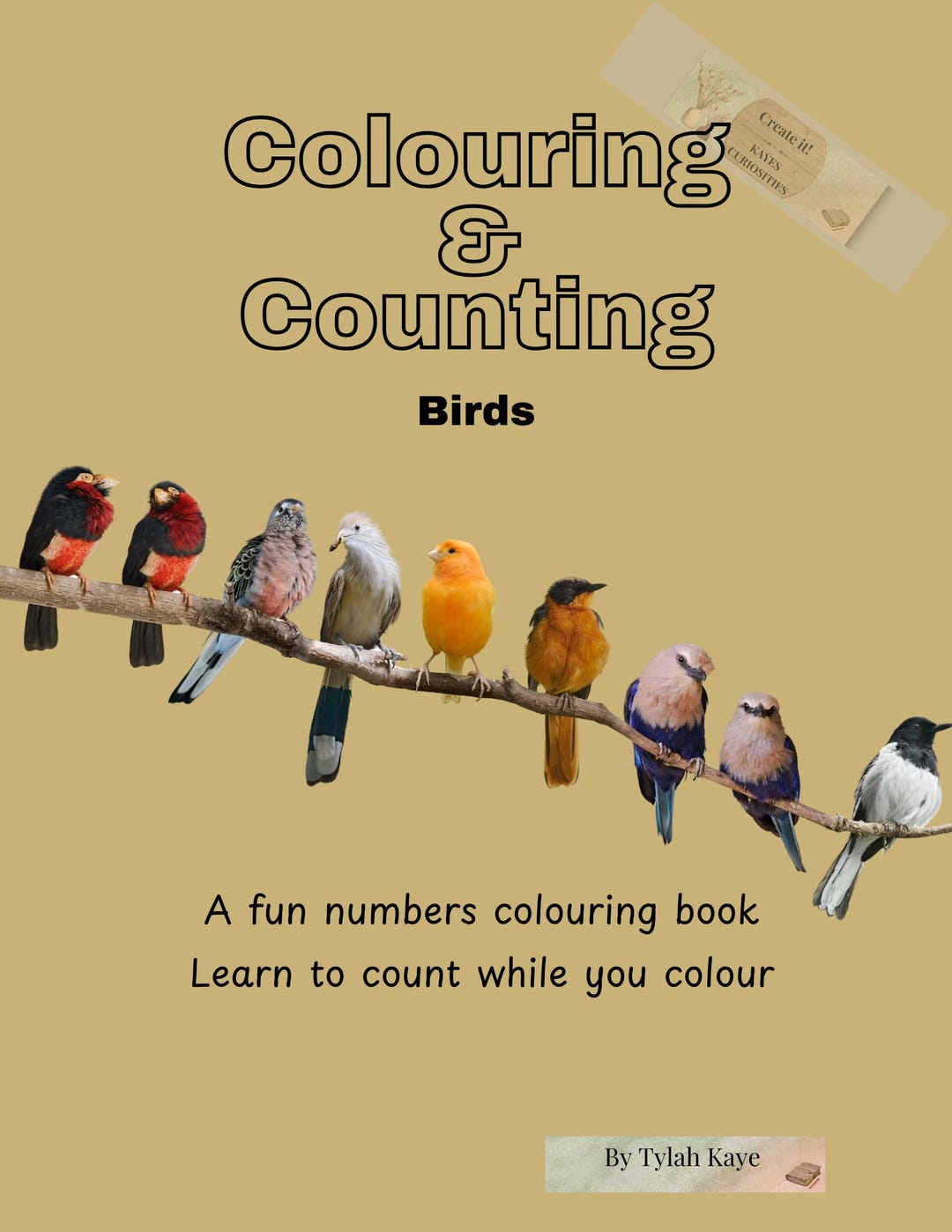 Colouring and Counting, an Interactive Digital Book, Counting and ...