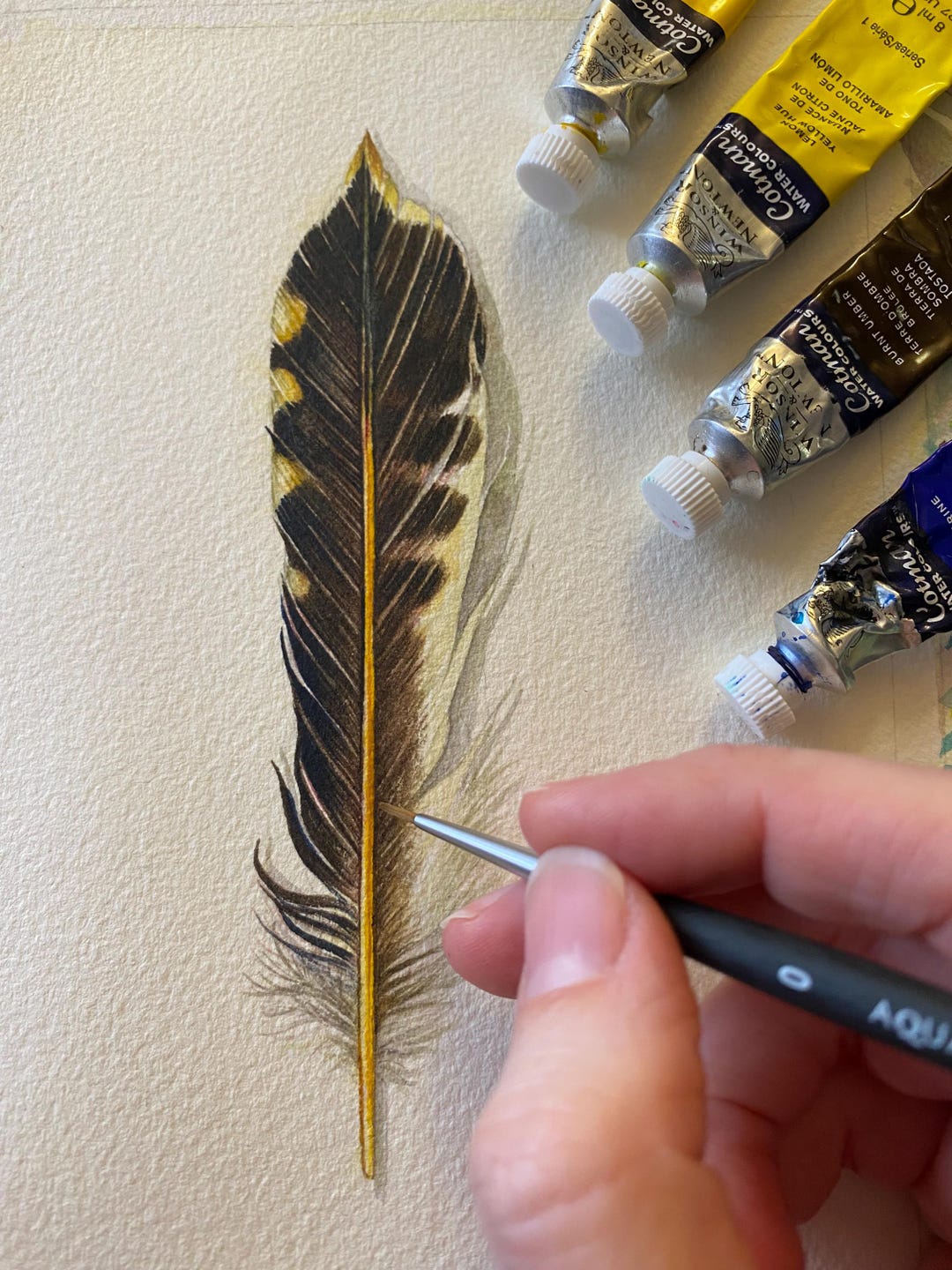 Yellow-shafted Northern Flicker Feather Painting Original Feather Study ...