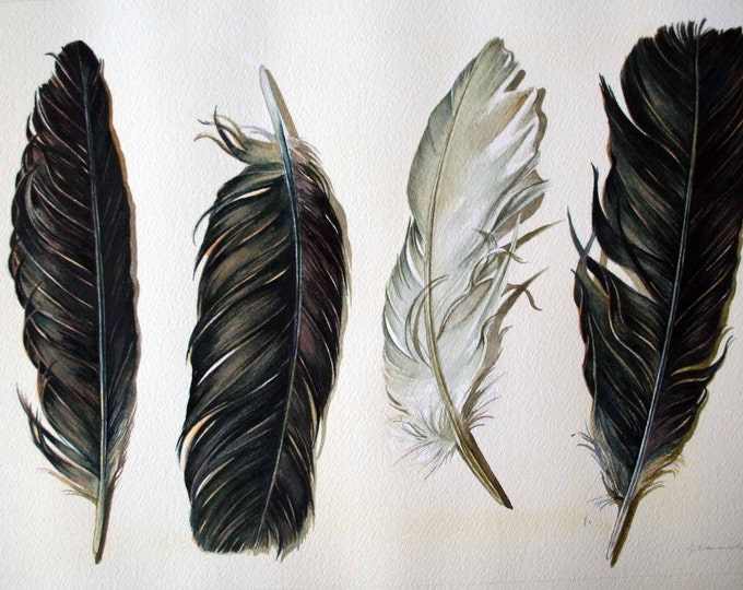 Spirit Feather Crow Feather Study Large Watercolour Study Original ...