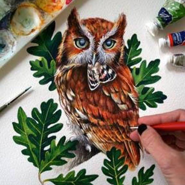 Screech Owl Houses - Etsy