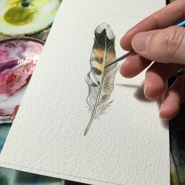 Feather Study - Etsy