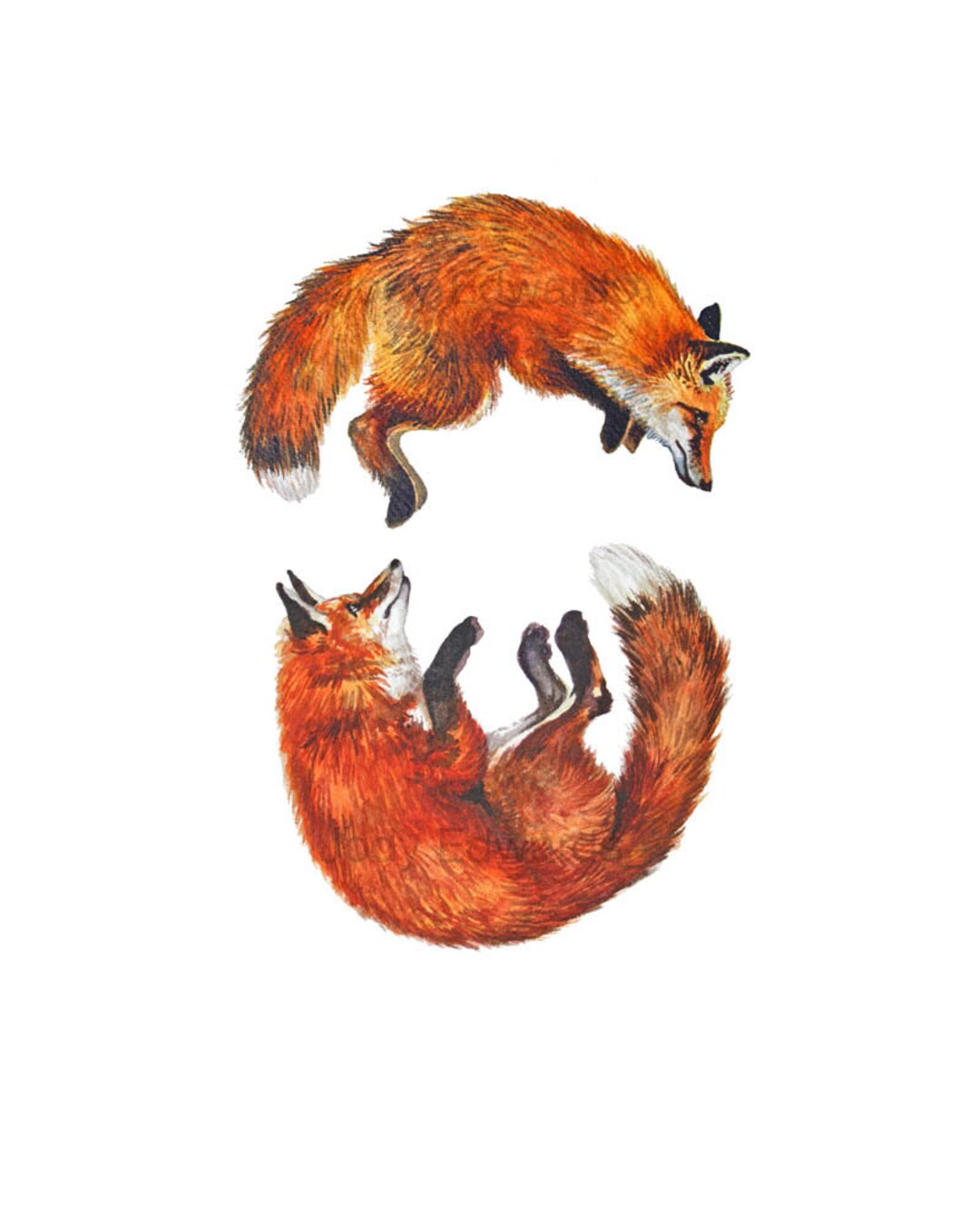 Tumbling Fox Print Archival Quality Print From My Watercolor - Etsy