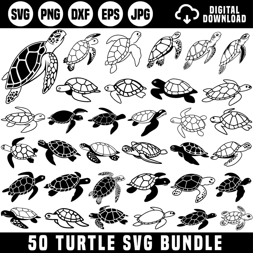 Turtle Svg, Sea Turtle Svg, Tortoise Svg, Turtle Png, Sea Turtles ...