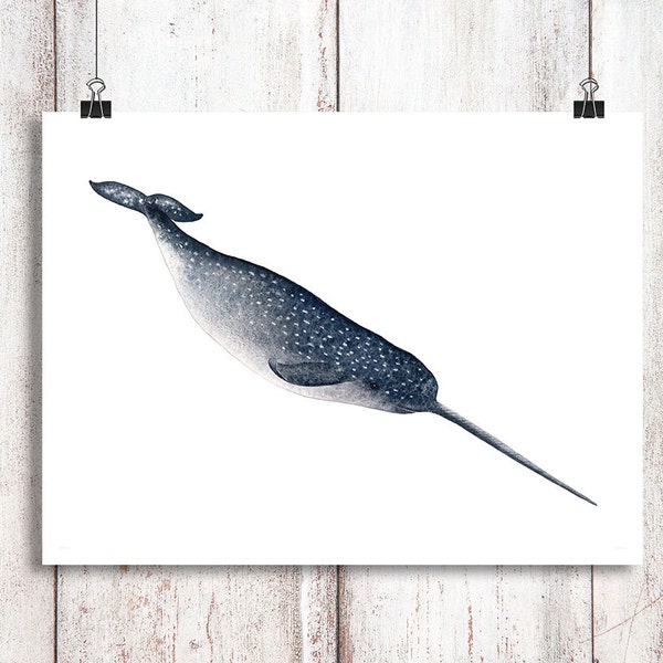 Narwhal Art - Etsy