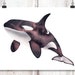 Shadow Violet Orca Digital Download Print, Printable Art, Killer Whale ...