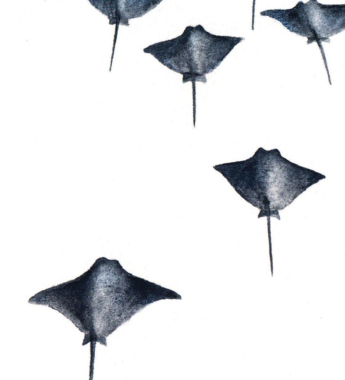 Stingray Printable Art, Stingray Art, Printable Art, Digital Download ...