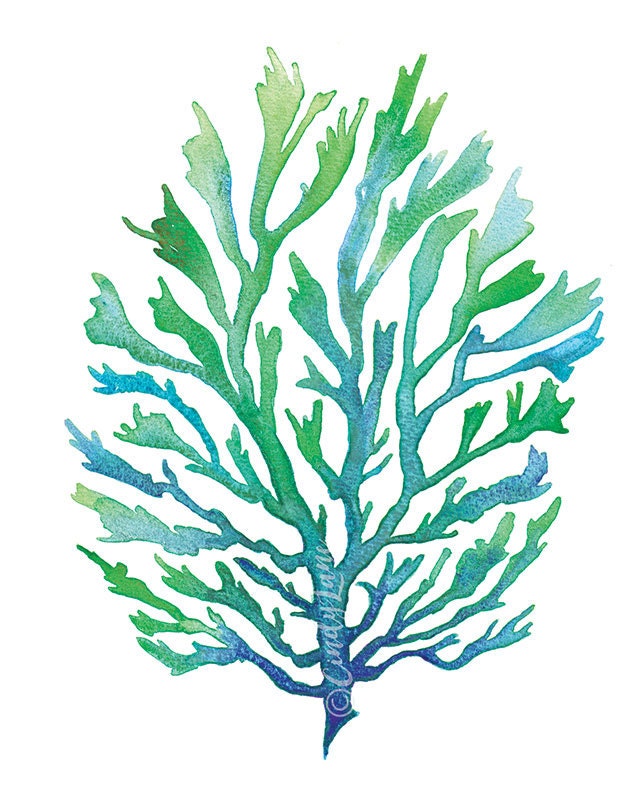 Blue Green Seaweed Watercolor Printable Art Seaweed Printable | Etsy