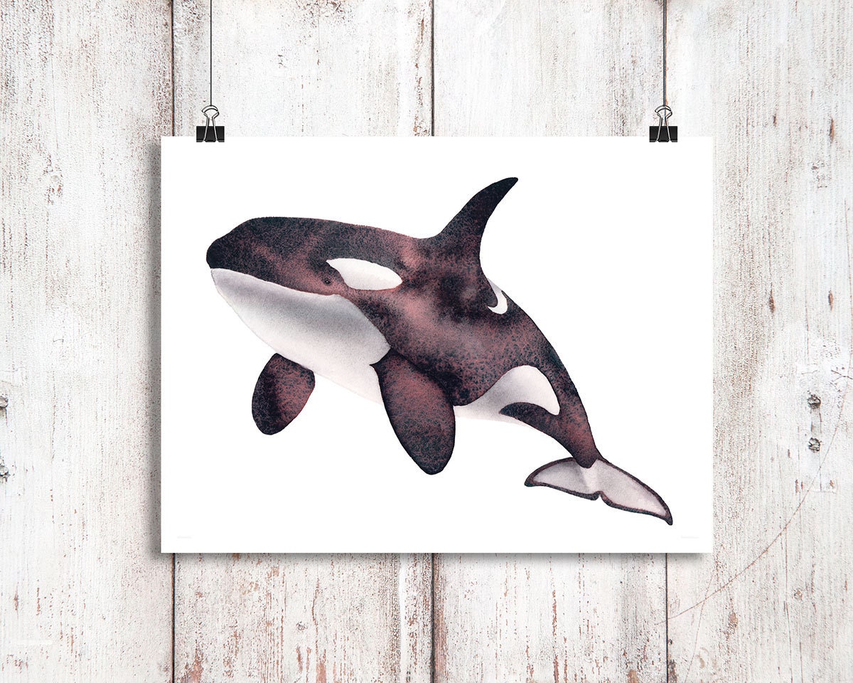 Shadow Violet Orca Digital Download Print Printable Art | Etsy