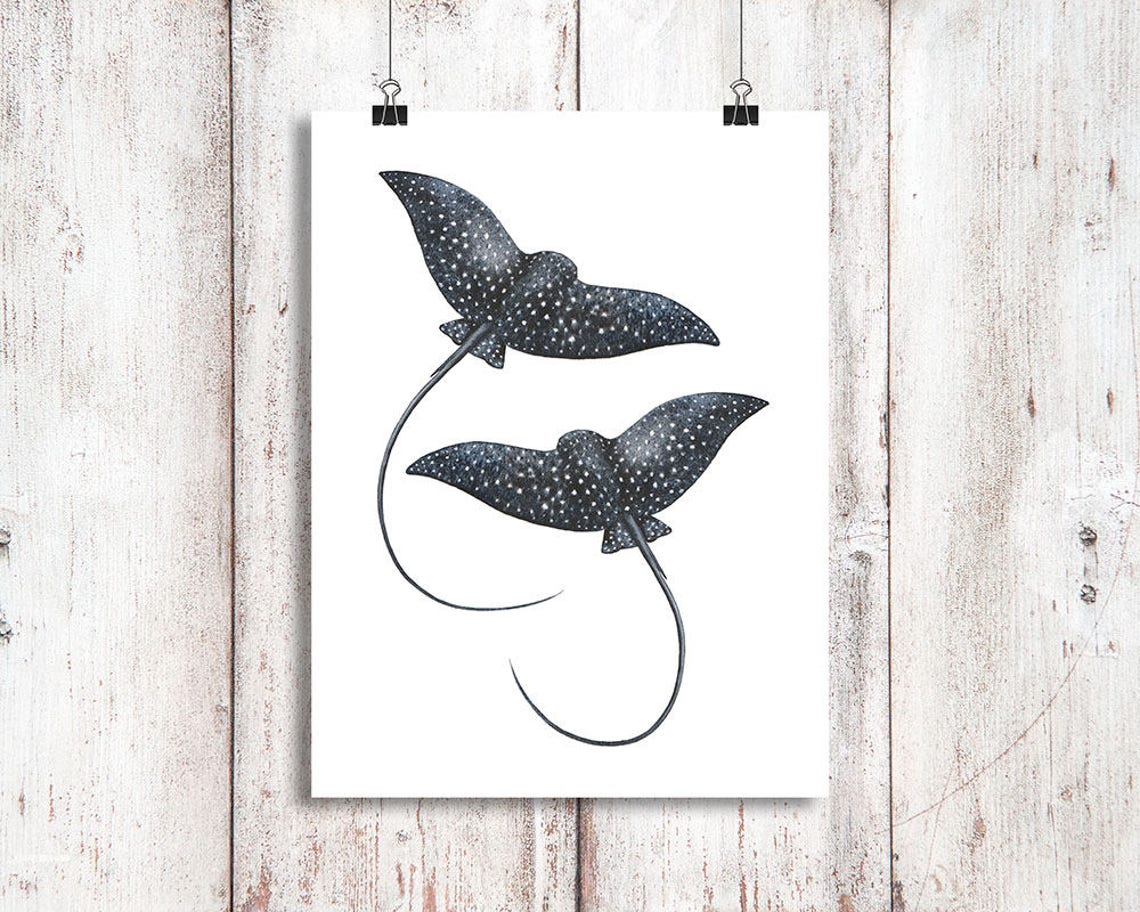 Stingray Pair Instant Download Stingray Printable Art | Etsy