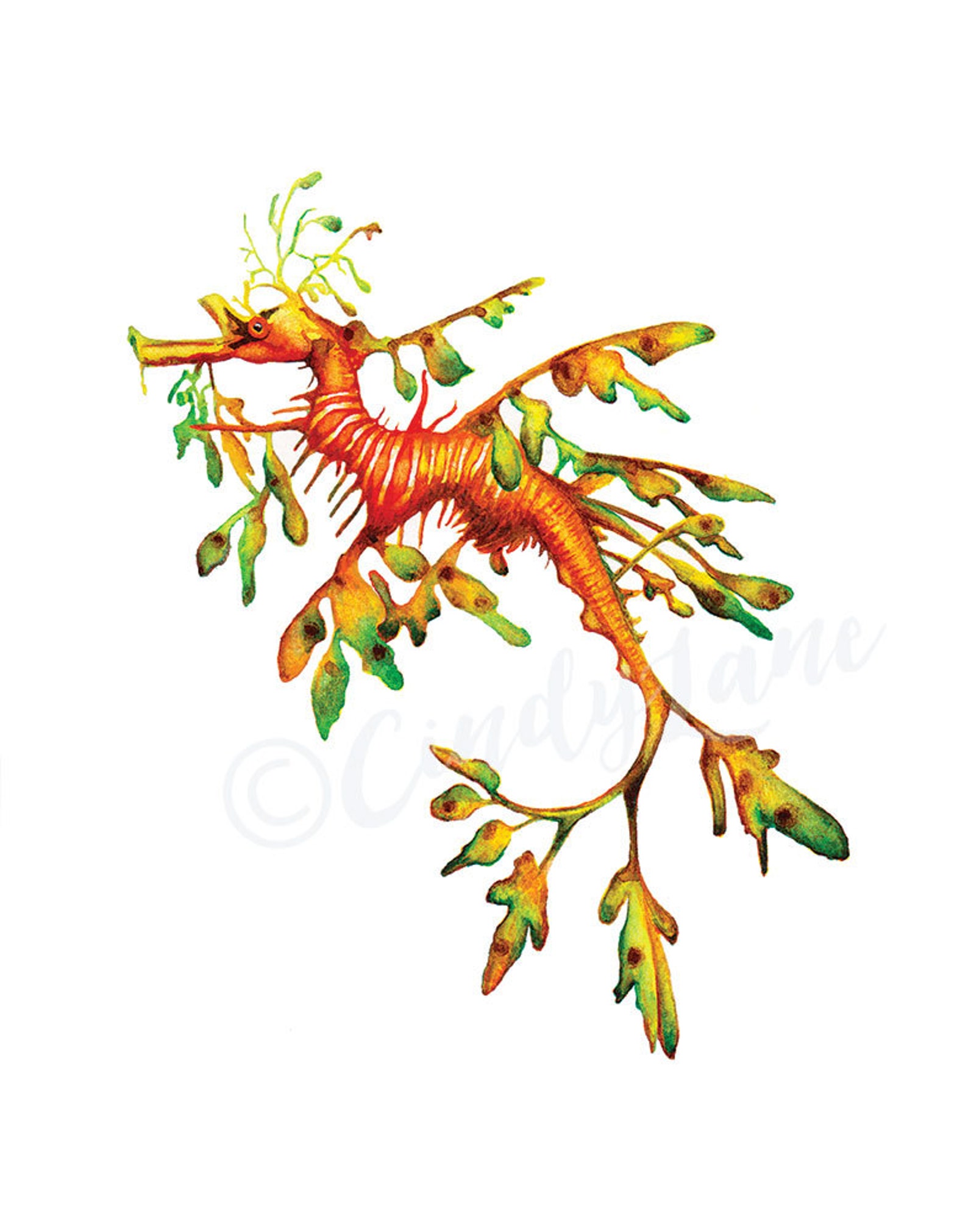Leafy Sea Dragon Watercolor Printable Art Seahorse Printable - Etsy