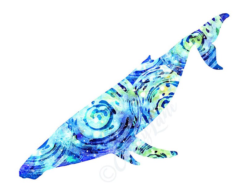 Mandala Galaxy ballena jorobada acuarela descarga instantánea | Etsy