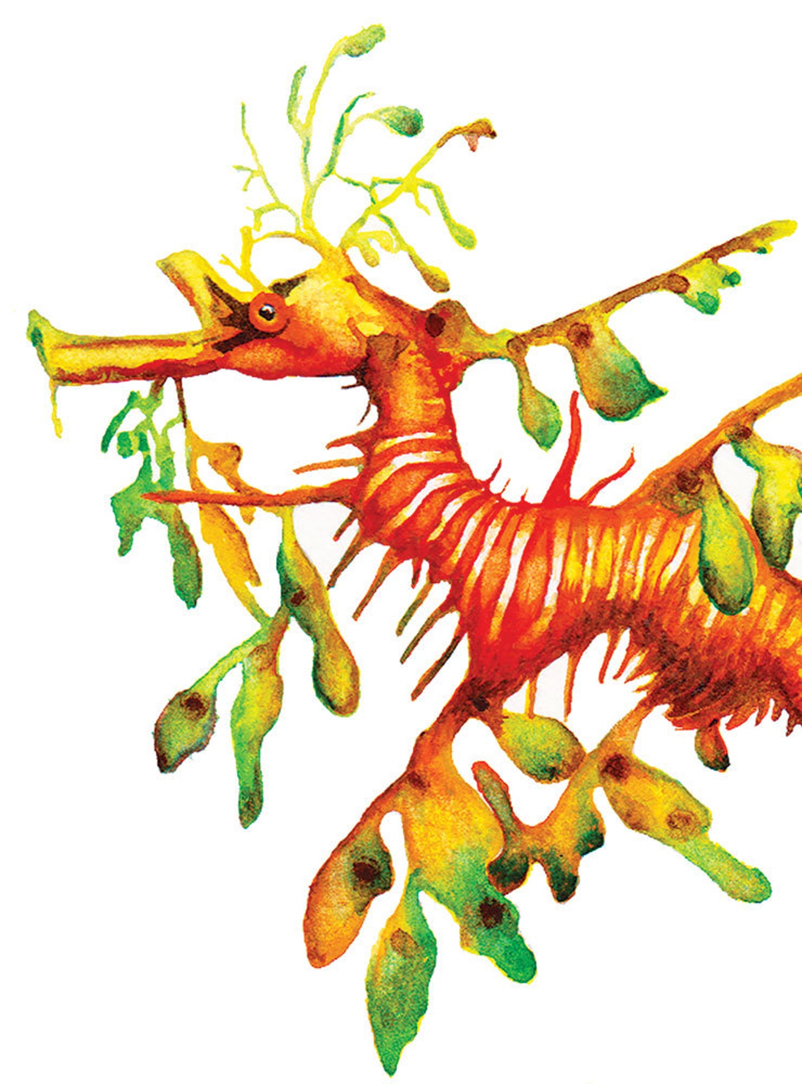 Leafy Sea Dragon Watercolor Printable Art Seahorse Printable - Etsy