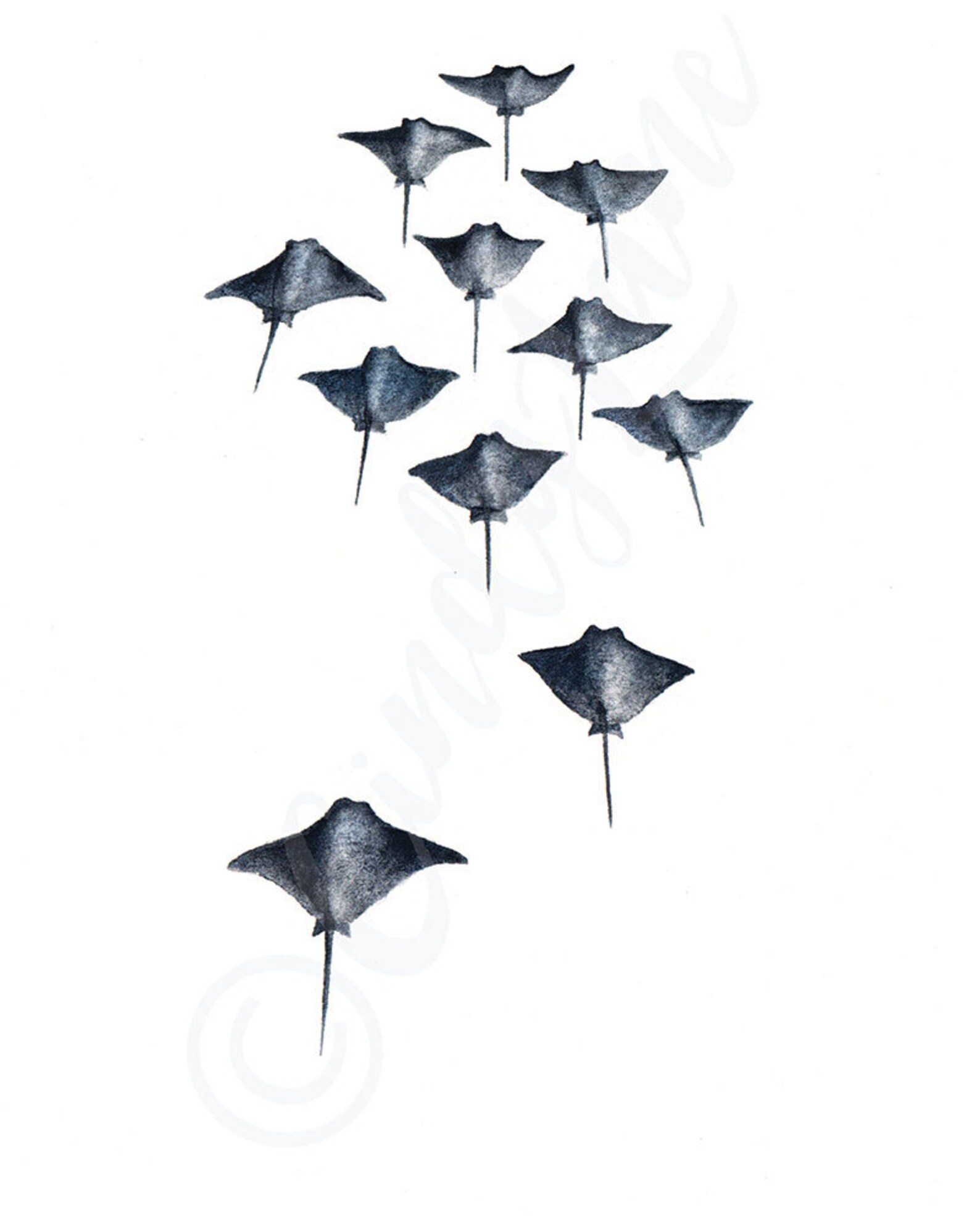 Stingray Printable Art, Stingray Art, Printable Art, Digital Download ...