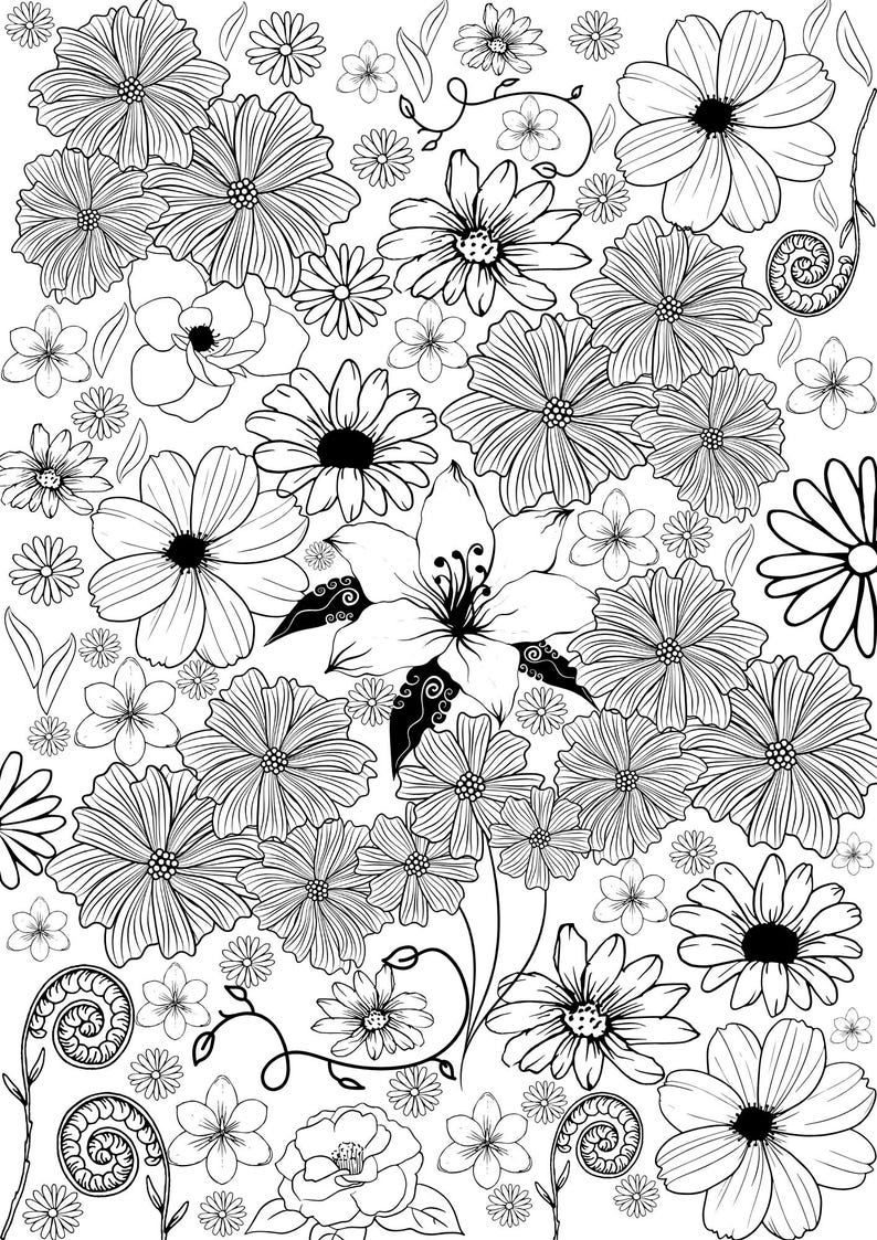 Stress-relief Flower Coloring Pages With Positive Quotes – Printable ...
