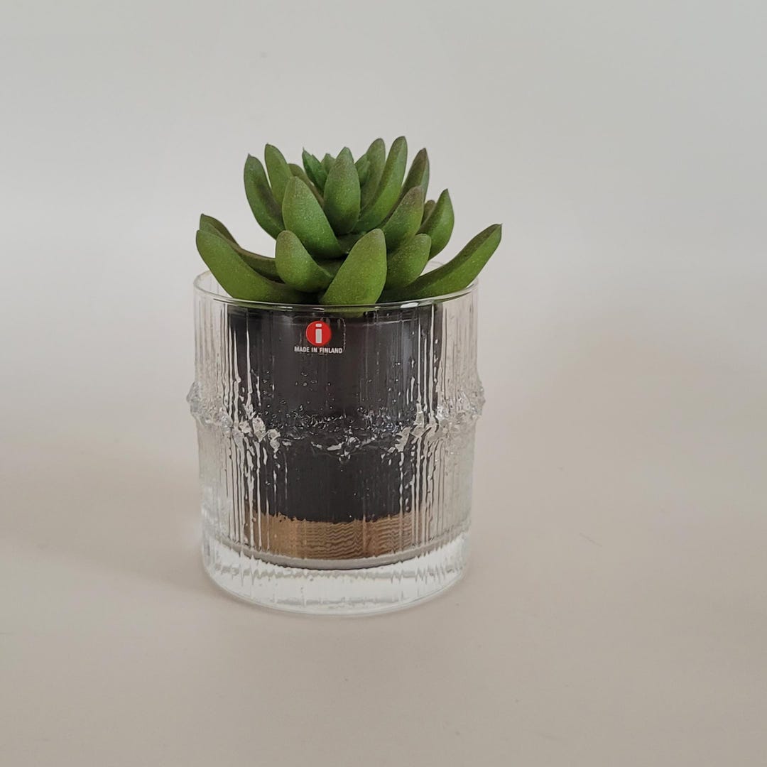 Iittala Niva Glasses Vintage Finnish Glassware Cocktail Glasses Tapio ...