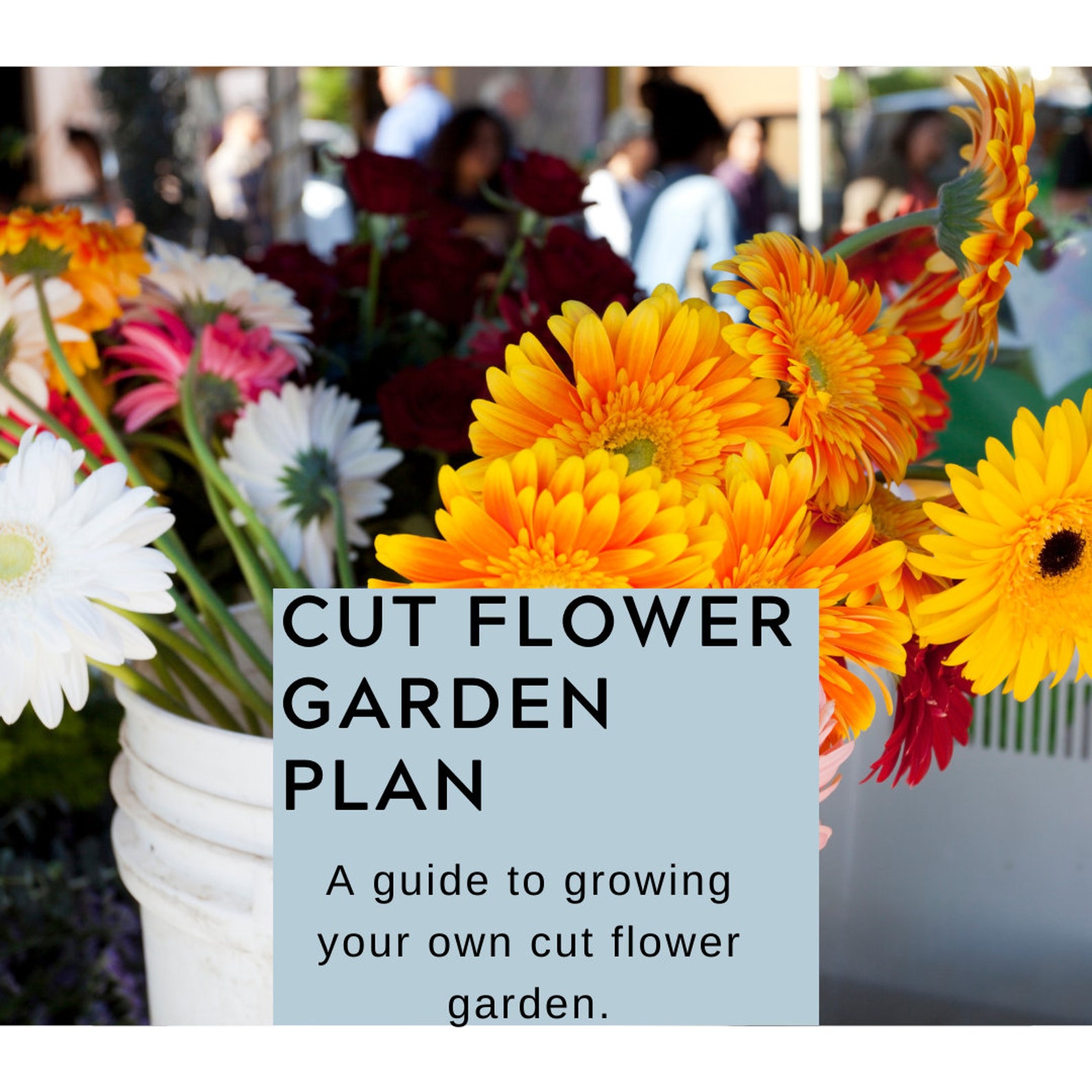 Cut Flower Garden Plan for Beginners (PDF Digital Download) - Etsy