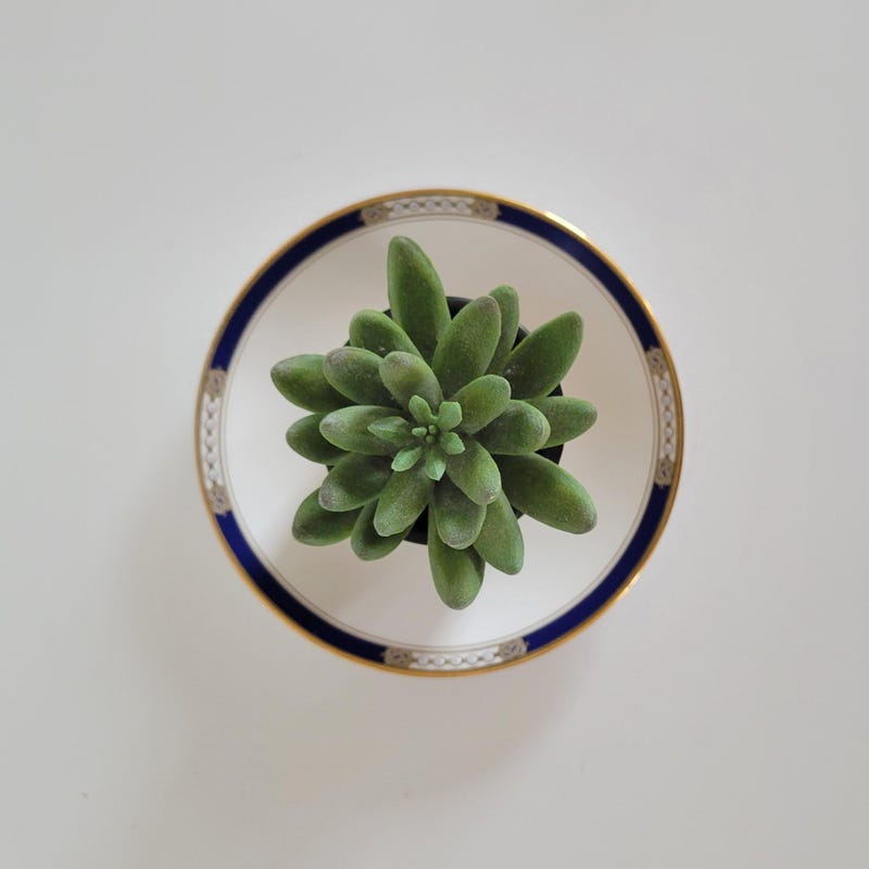 Vintage Lenox Treasure - Etsy