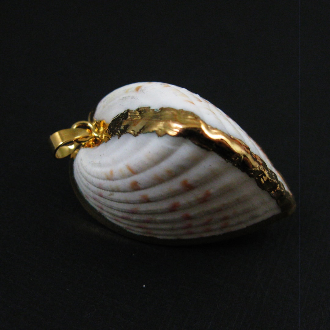 Genuine Shell Pendant, Coquina Gold Wrapped Shell Pendant,natural ...