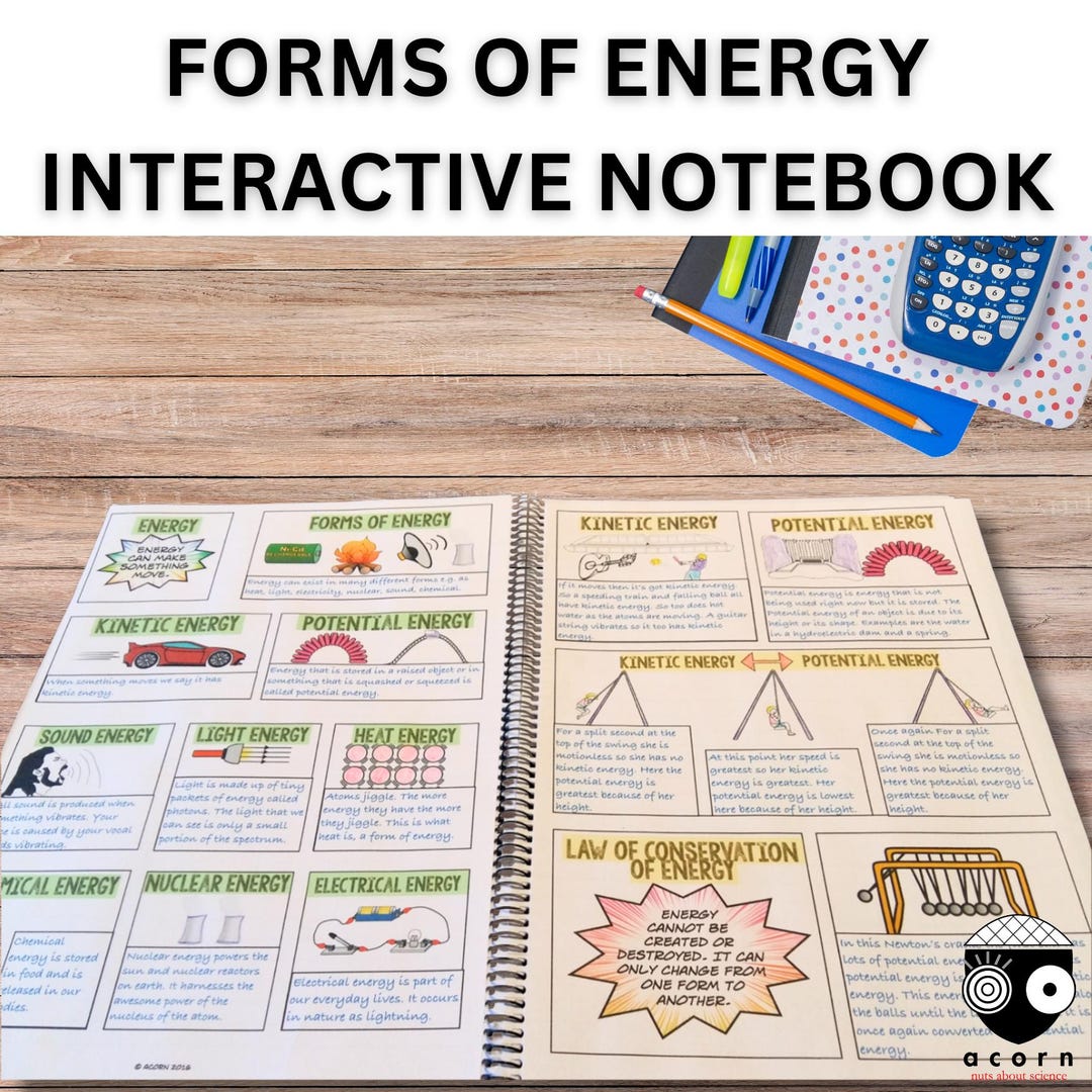Forms of Energy Interactive Notebook - Etsy