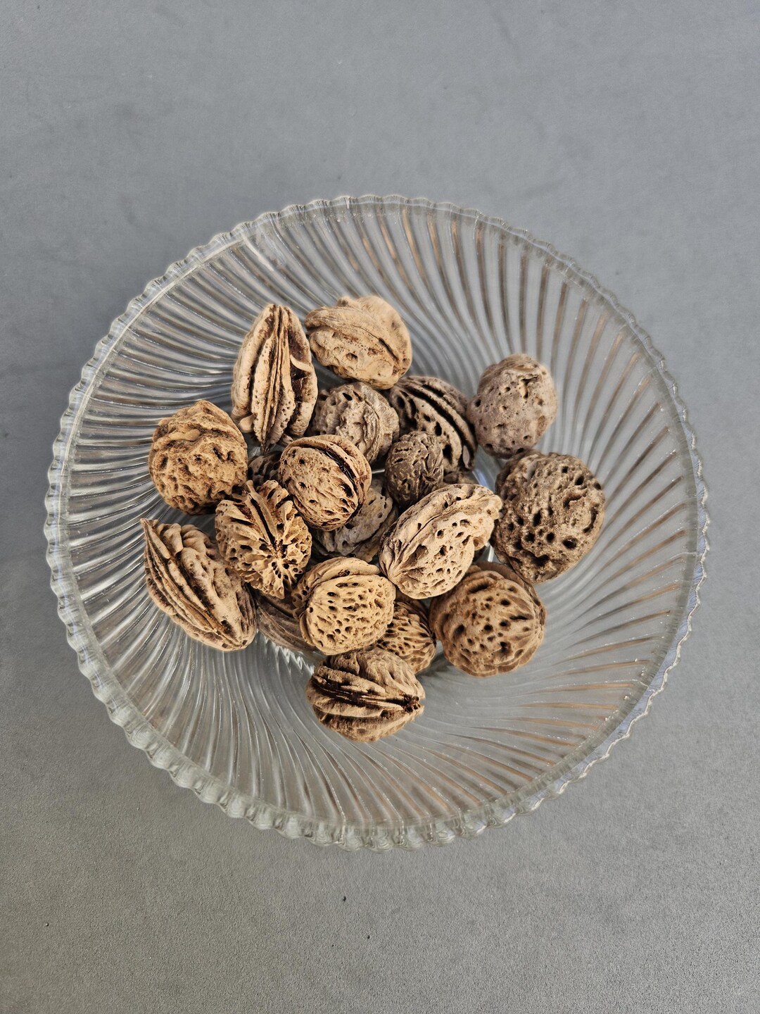 Sea Peach Pits 20 Pcs / Driftwood Kernels / Sea Tumbled Peach Pits ...