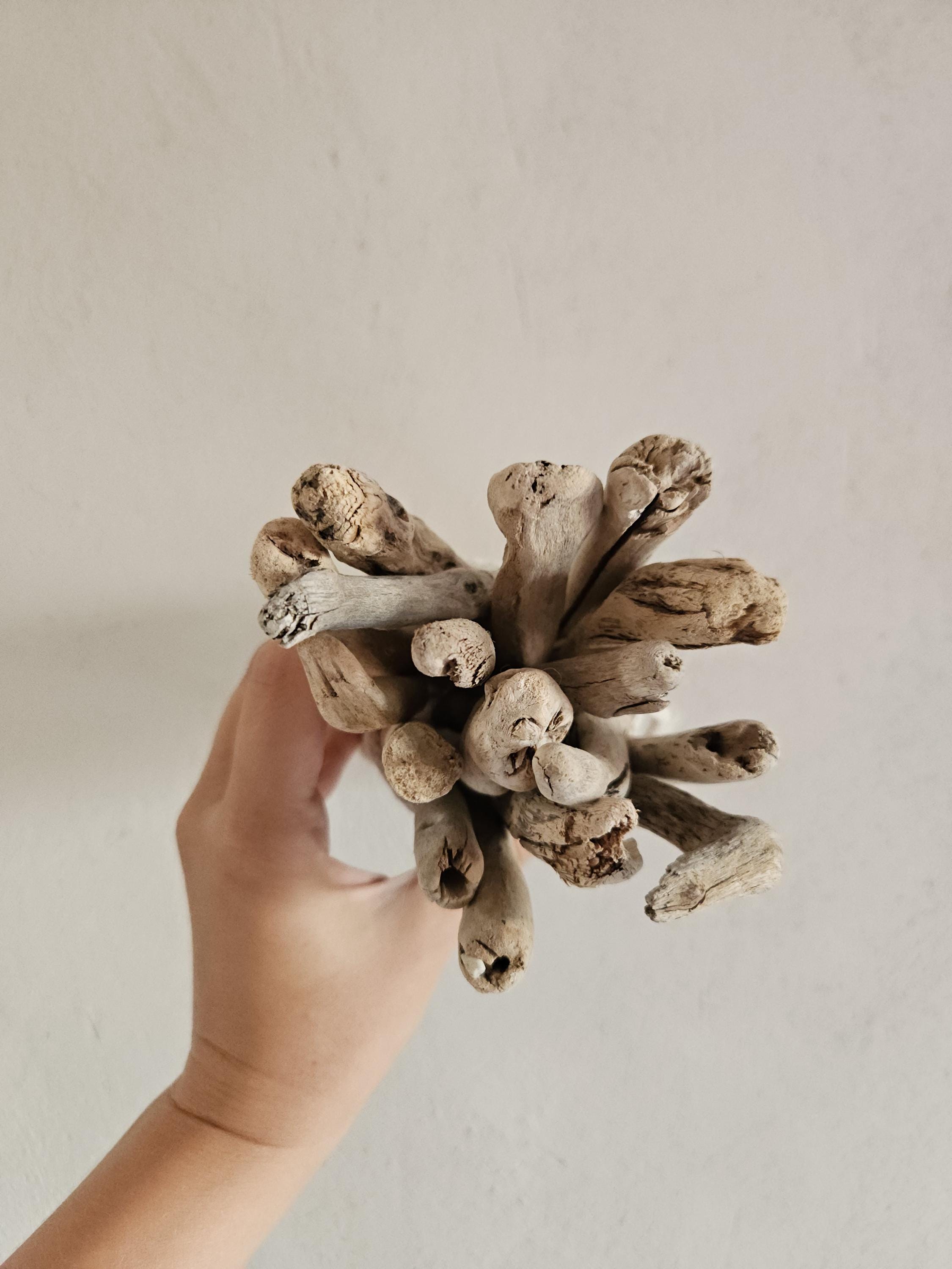 Thick Round Driftwood Branches: 3 Size Options for Crafts and Coastal ...