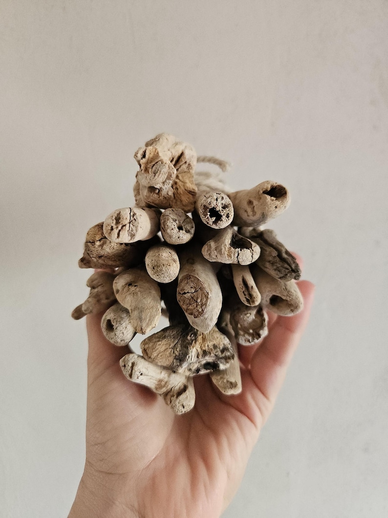 Thick Round Driftwood Branches: 3 Size Options for Crafts and Coastal ...