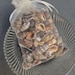Natural Small Seashells Mix 150 Pcs / Sea Shells for Crafts / Shell ...