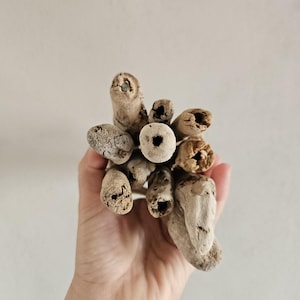 Thick Round Driftwood Branches: 3 Size Options for Crafts and Coastal ...