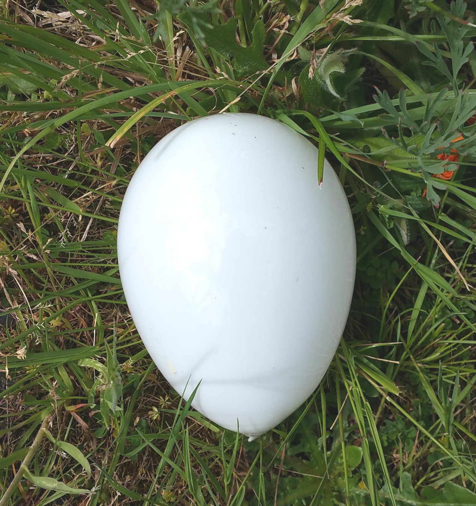 VICTORIAN GLASS EGG, Large Hand Blown, Hand Painted With Easter ...