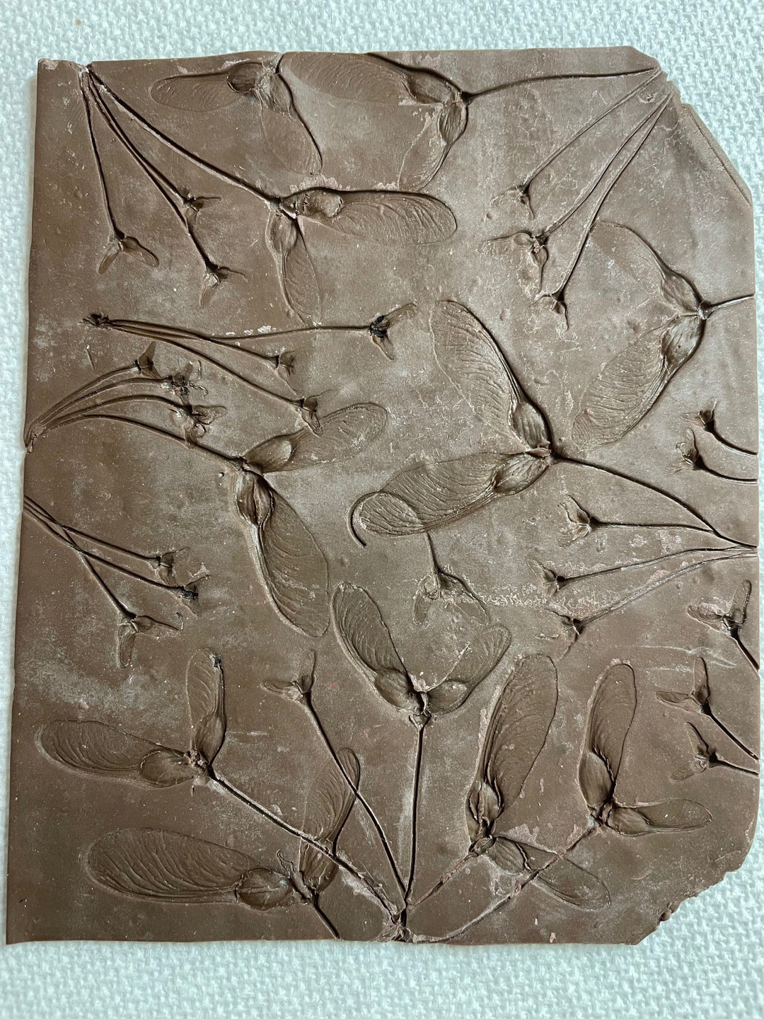 Original Sculpted Mold "spring on the Maple 1" - Etsy