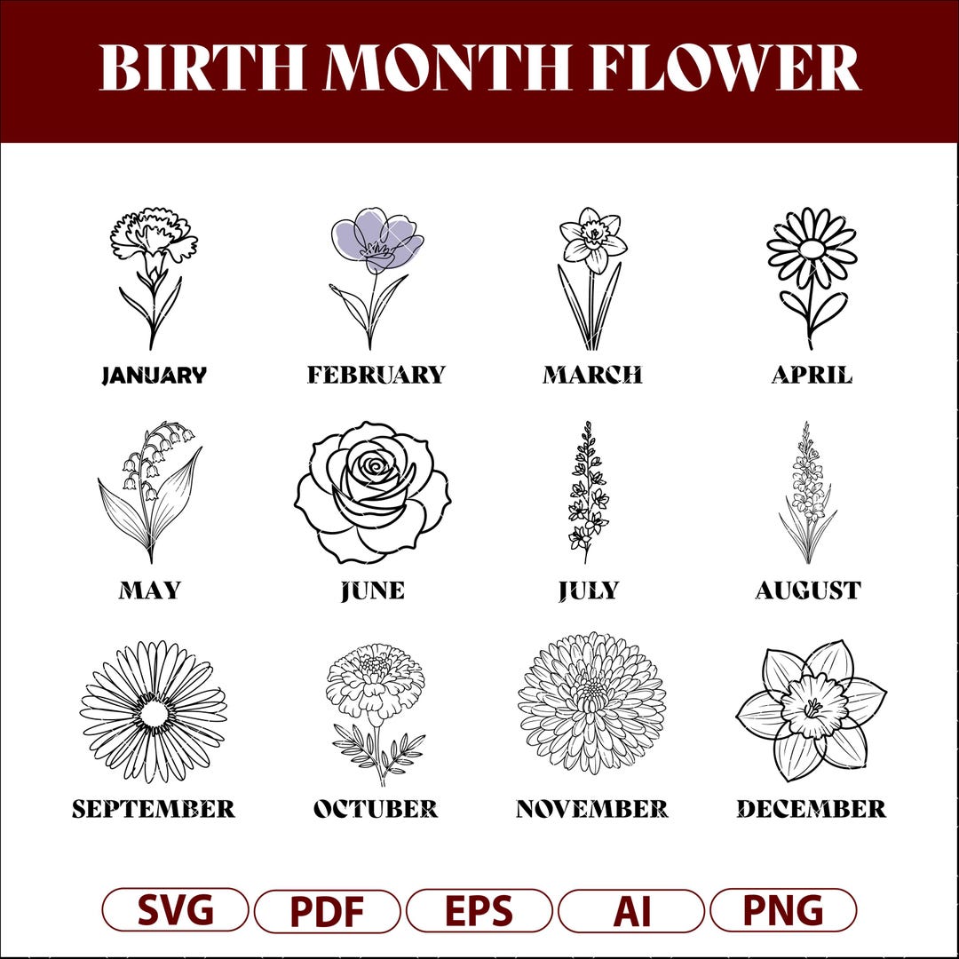 Birth Month Flowers Line Art SVG Bundle, 12 Botanical Floral Drawings ...