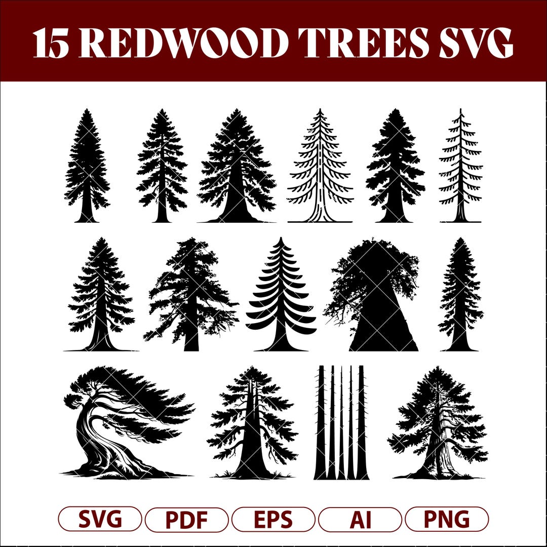 Redwood Tree SVG Bundle, 15 Redwood Tree Silhouettes, Forest Tree PNG ...