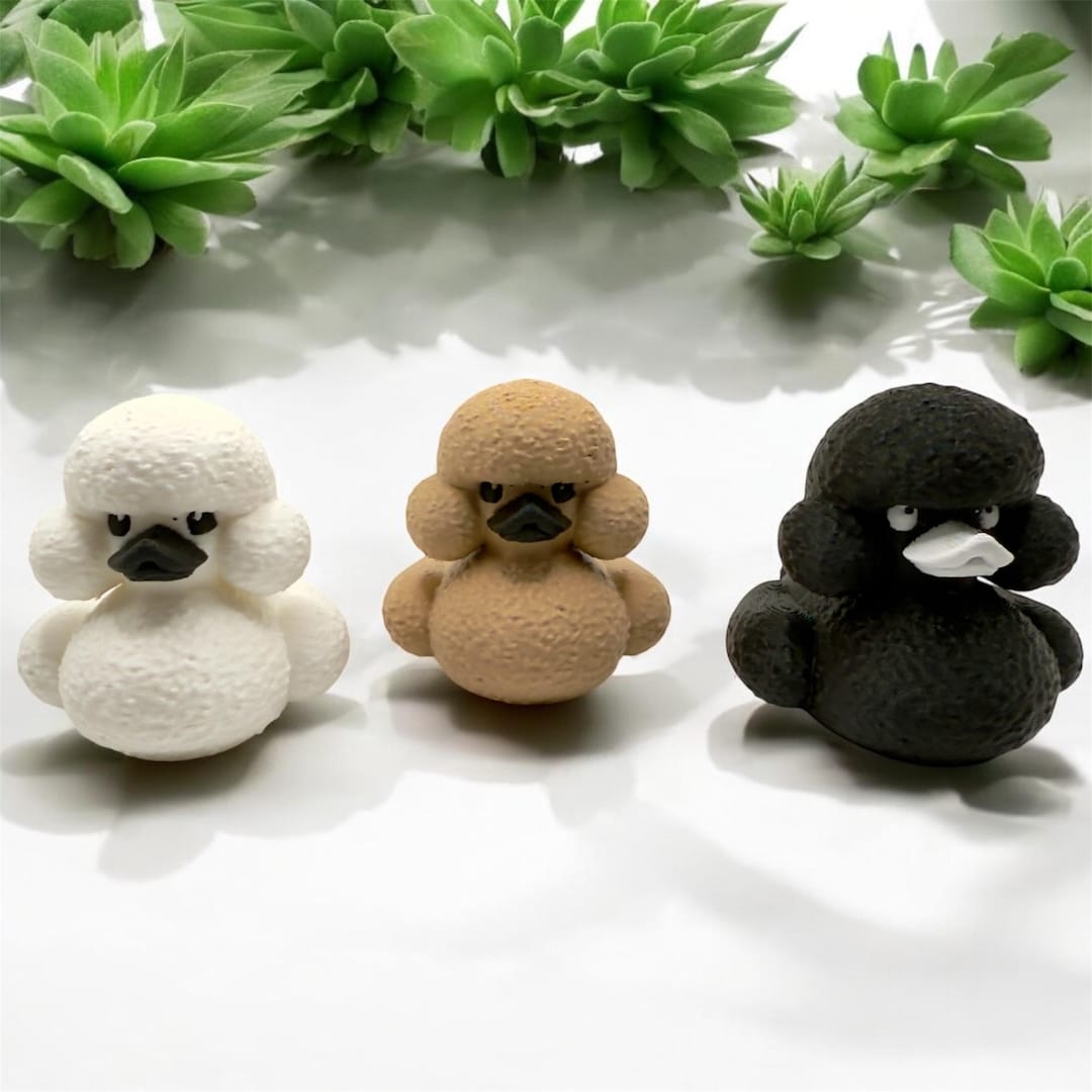 Poodle Dog Duck | White, Black, or Tan Variant | Jeep Duck | Cruise ...