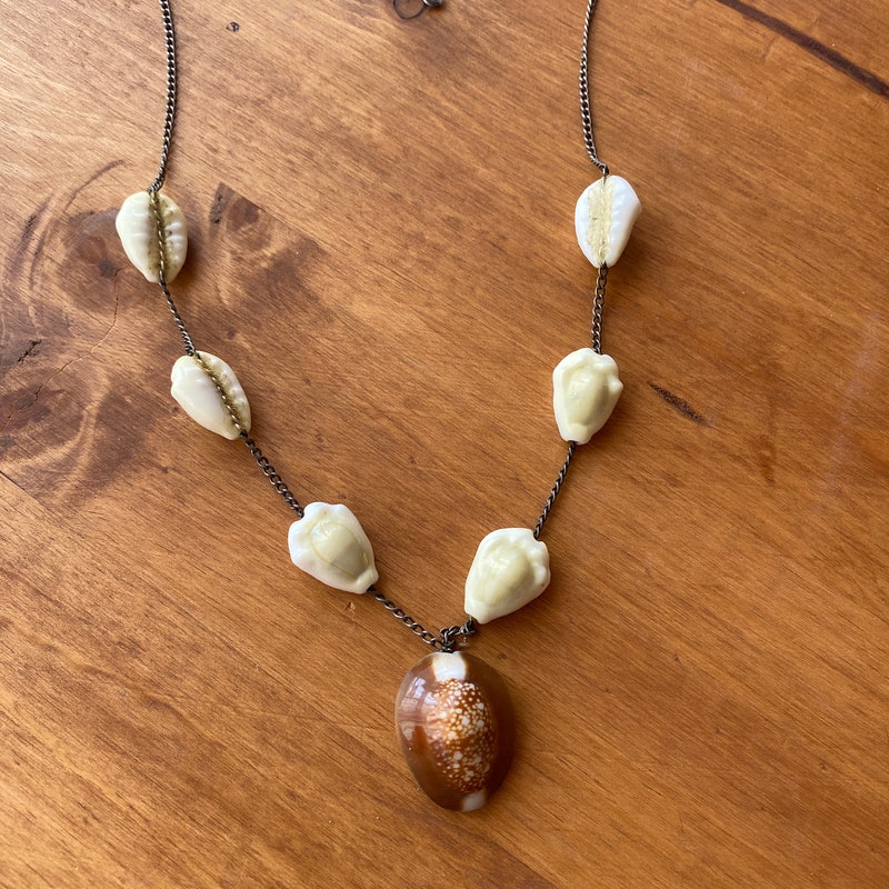 Hawaiian Cowrie - Etsy