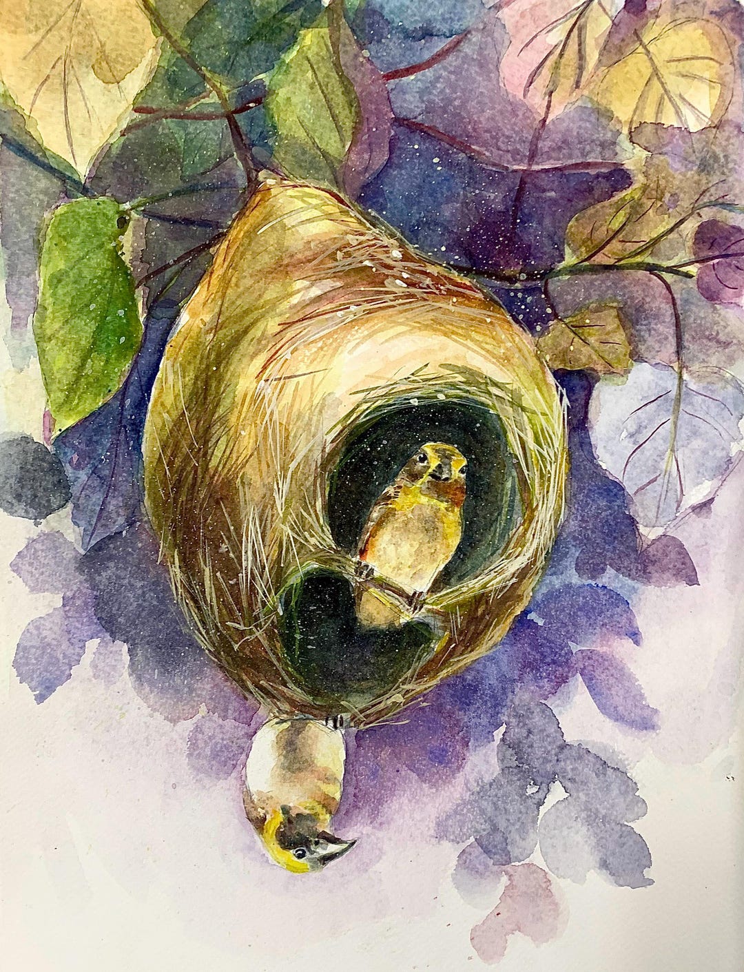 Original Watercolour Art Painting| the Bird Nest Arts, Decoration for ...